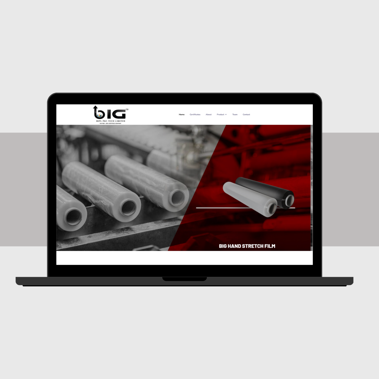 Top Web Design & Marketing Company in India | BIPL Infotech